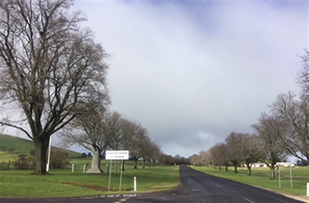 Kingston Avenue of Honour Hepburn Shire Council