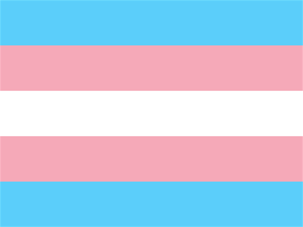 Statement of Solidarity with the Trans Community Hepburn Shire Council